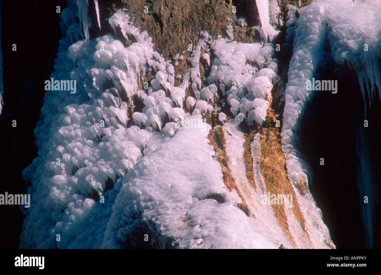 Fresh forms hi-res stock photography and images - Alamy