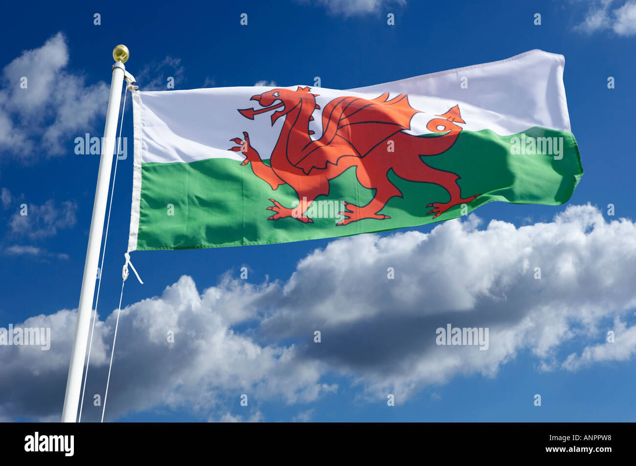 Welsh flag hi-res stock photography and images - Alamy