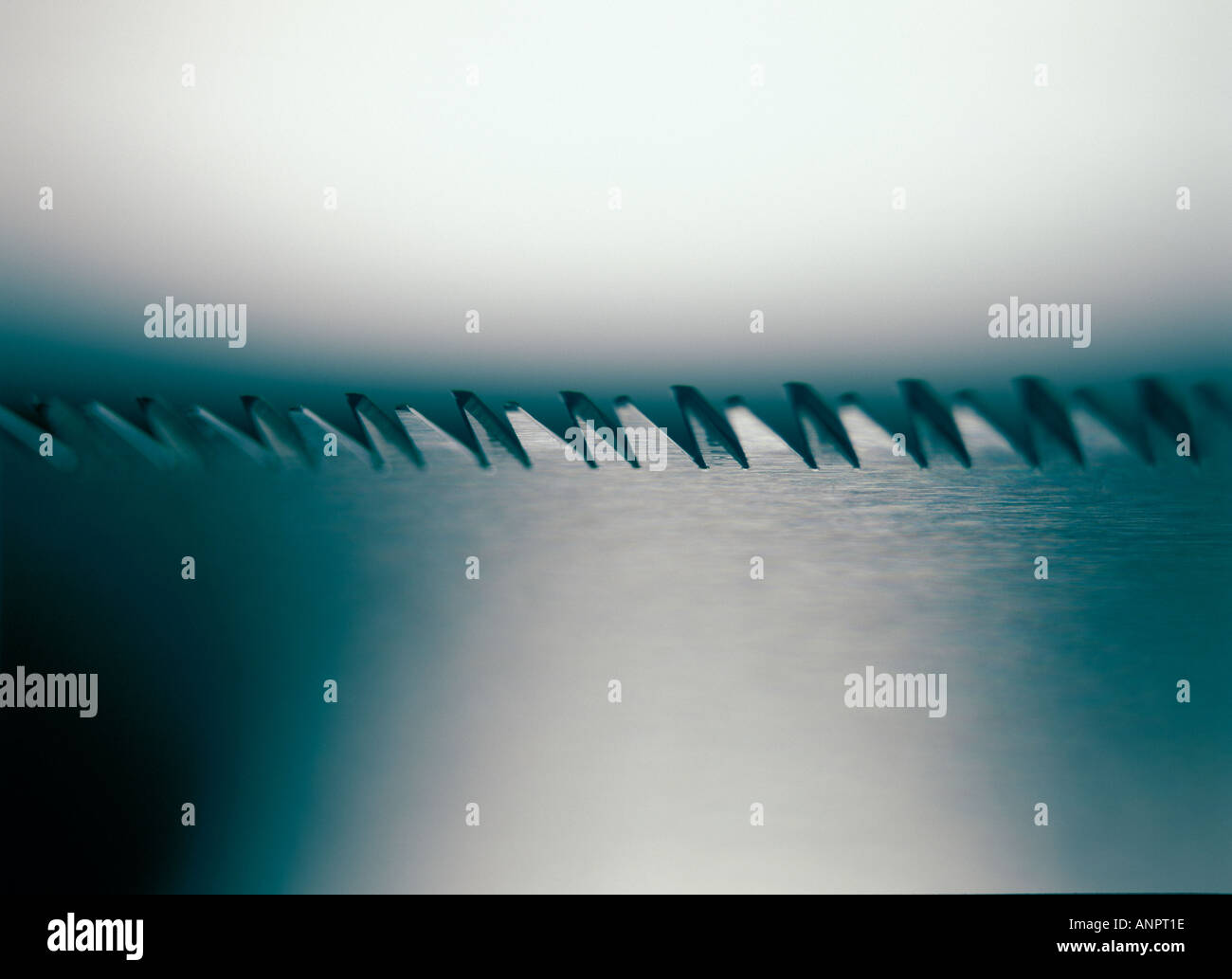 Saw edge hi-res stock photography and images - Alamy