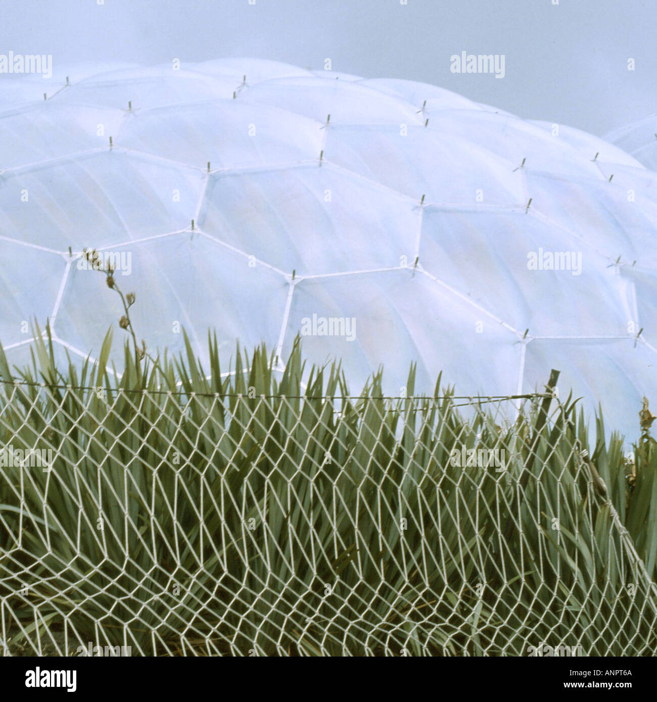 biome and net Stock Photo - Alamy