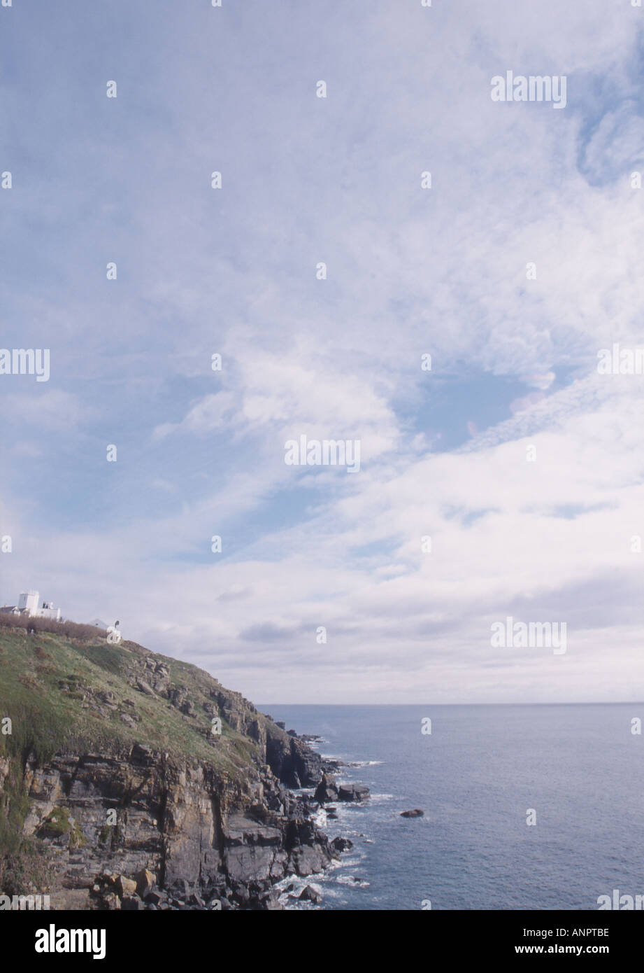 Lizard light hi-res stock photography and images - Alamy