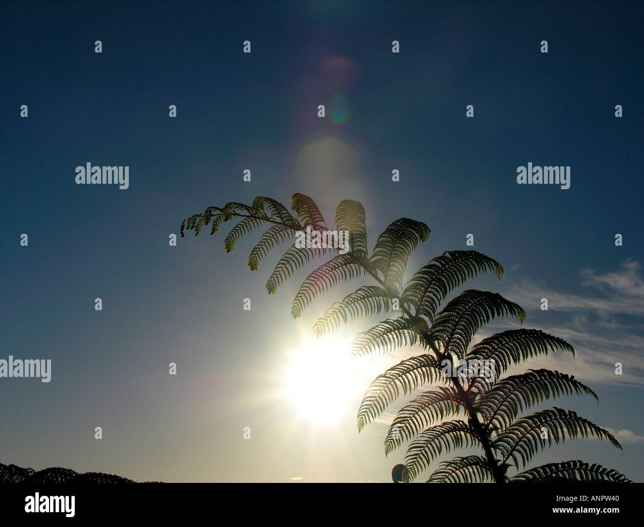 Plummers point hi-res stock photography and images - Alamy
