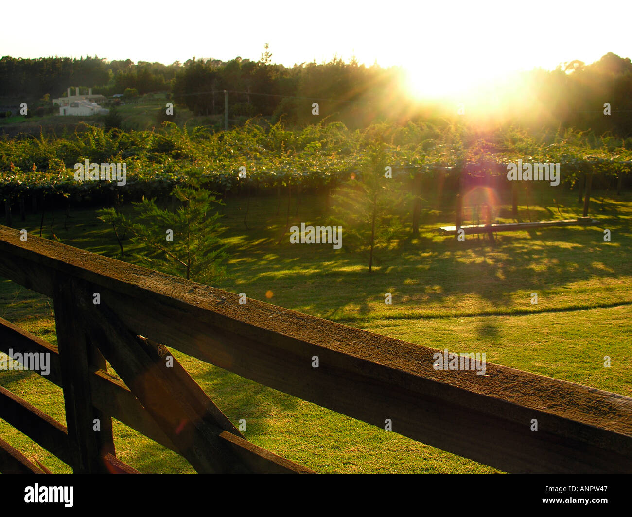 Plummers Point Tauranga New Zealand Stock Photo - Alamy