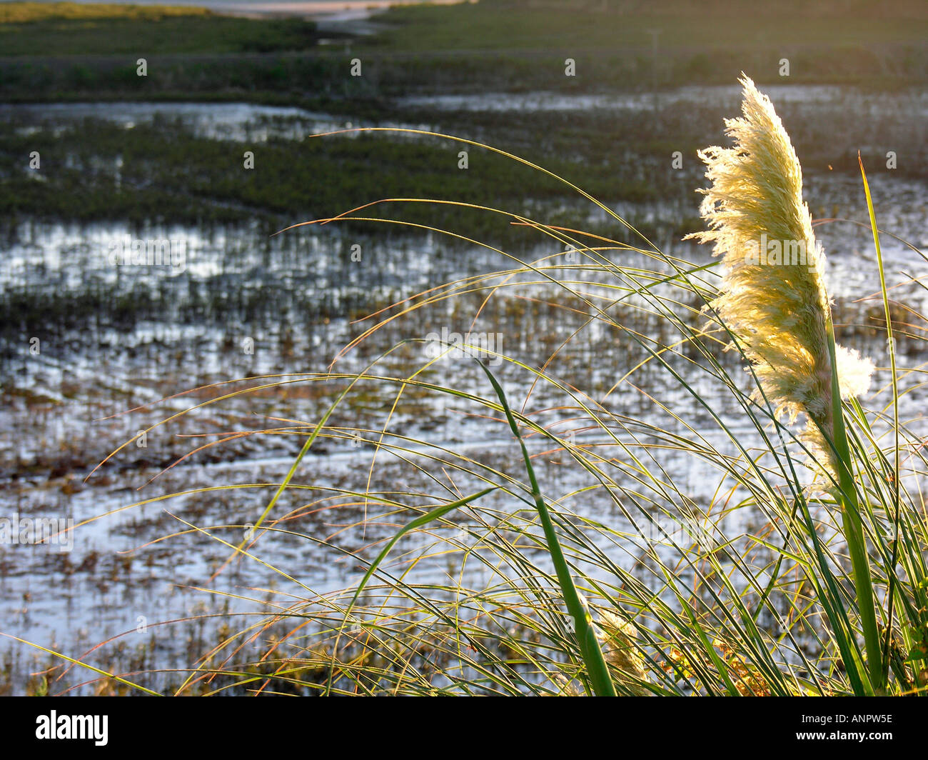 Plummers point hi-res stock photography and images - Alamy