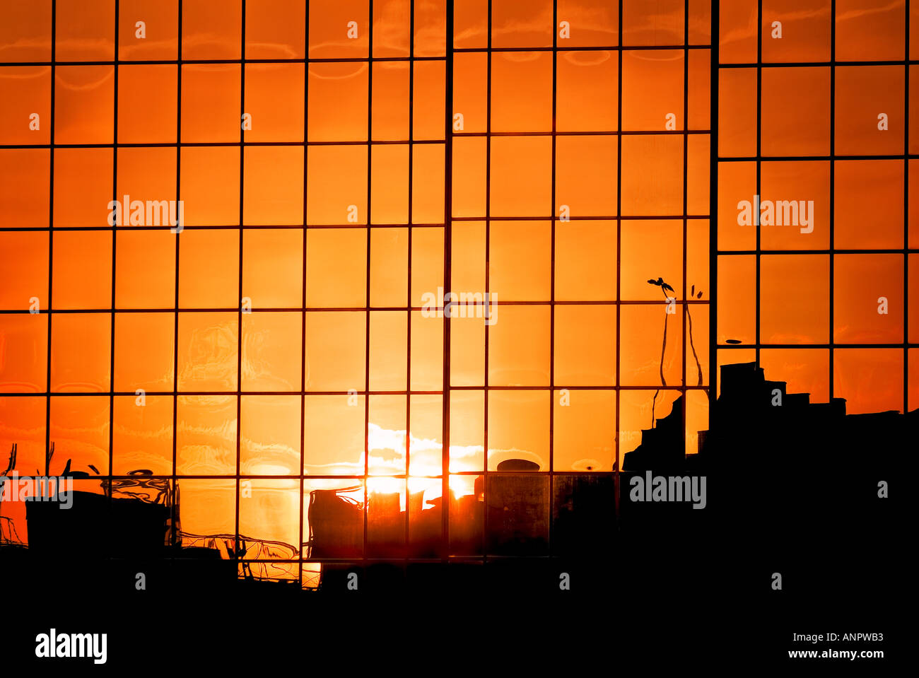 reflection of sun in building windows Stock Photo - Alamy