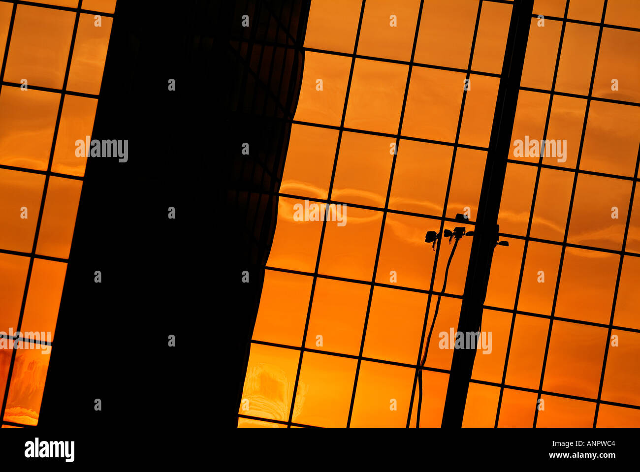 reflection of sun in building windows Stock Photo - Alamy