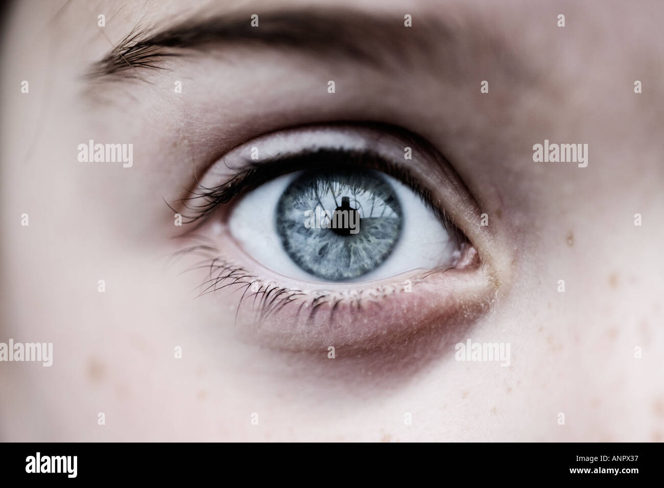 Eyelid window hi-res stock photography and images - Alamy