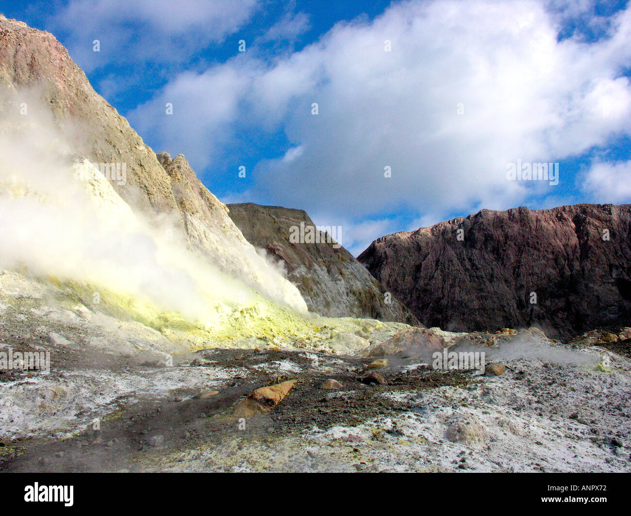 White Island Tour off the coast of Whakatane New Zealand NZ only active ...