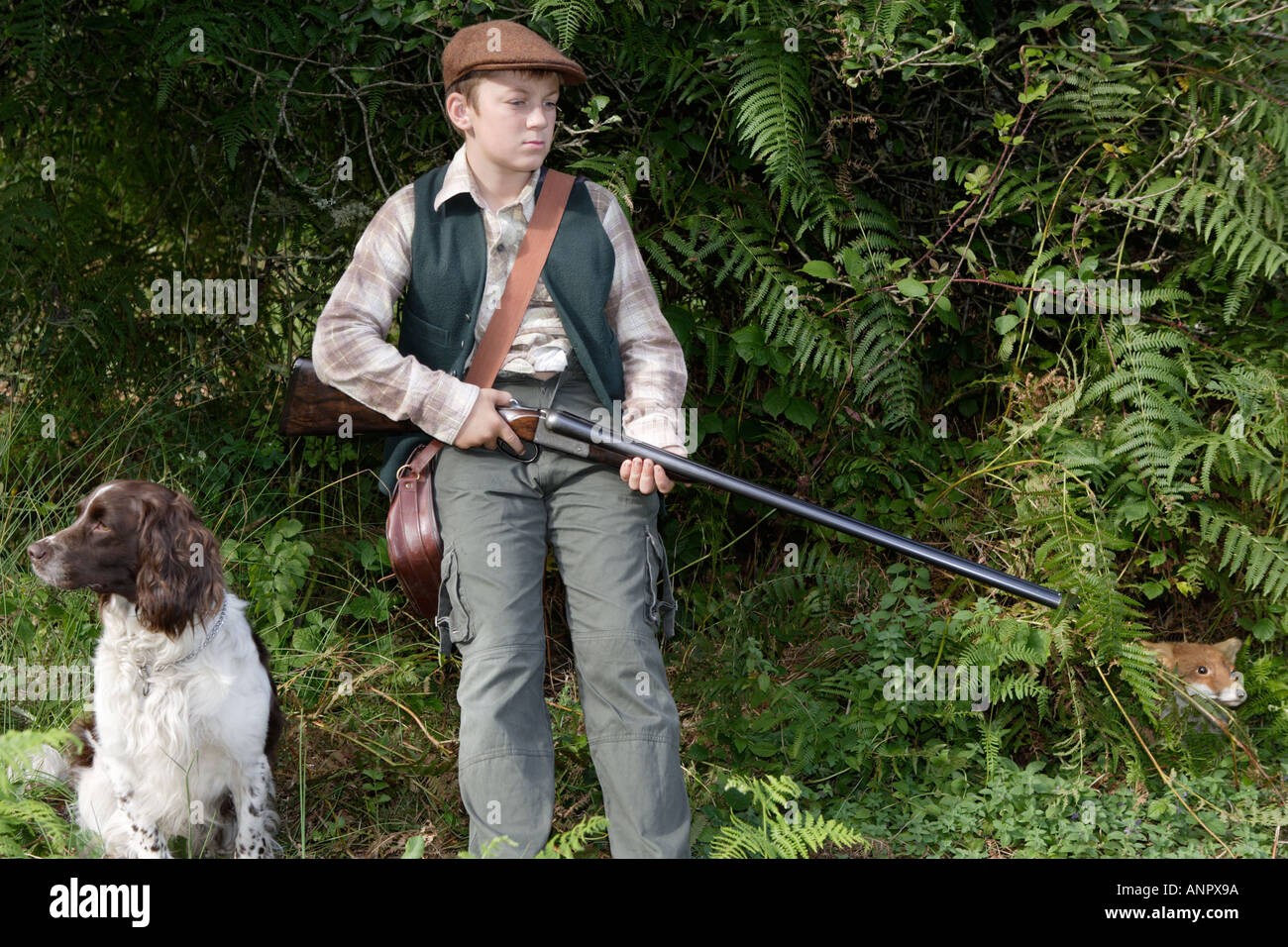 Boy and Fox Stock Photo - Alamy