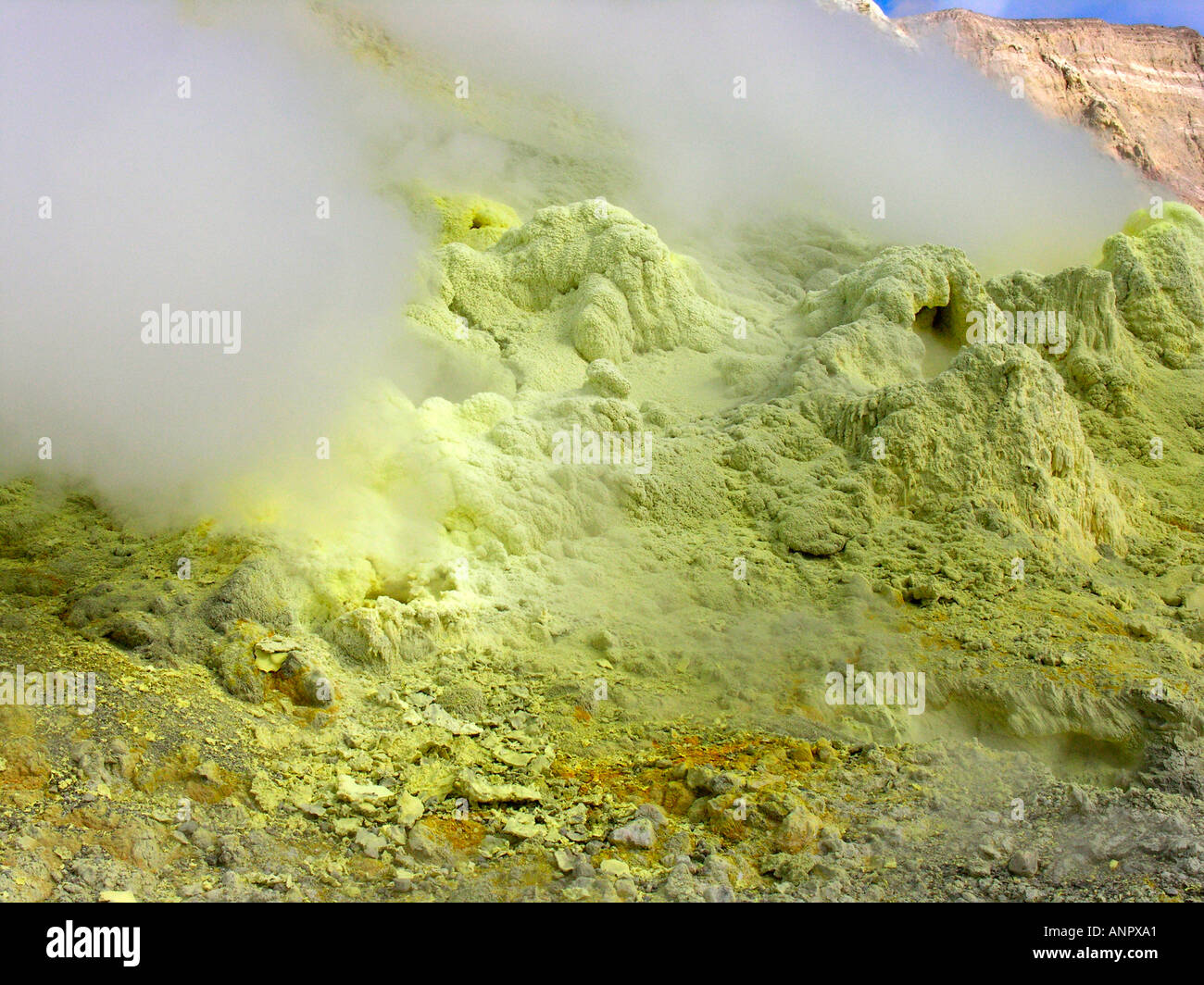 Only active volcano zealand hi-res stock photography and images - Alamy