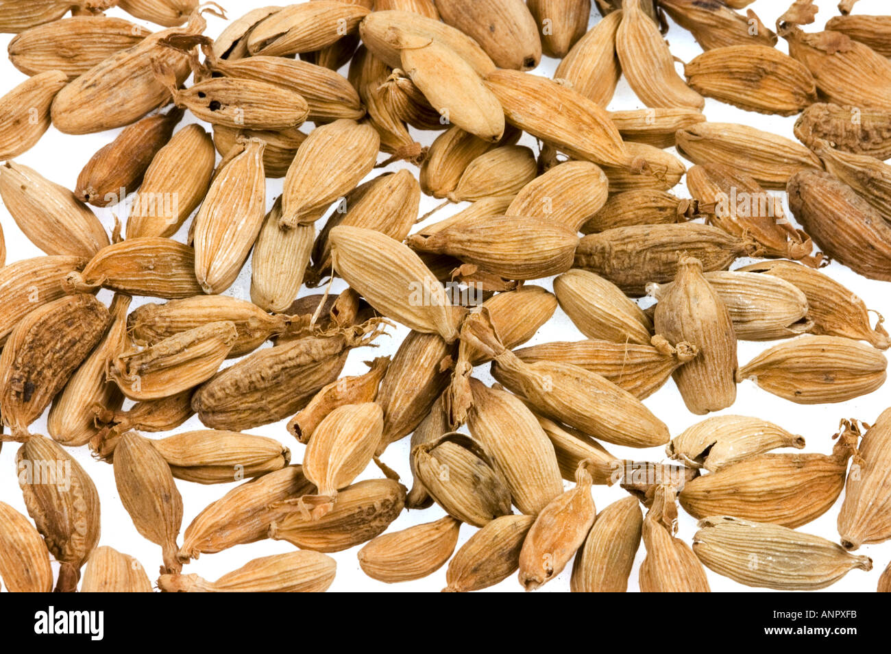 Cardamon open pod hi-res stock photography and images - Alamy