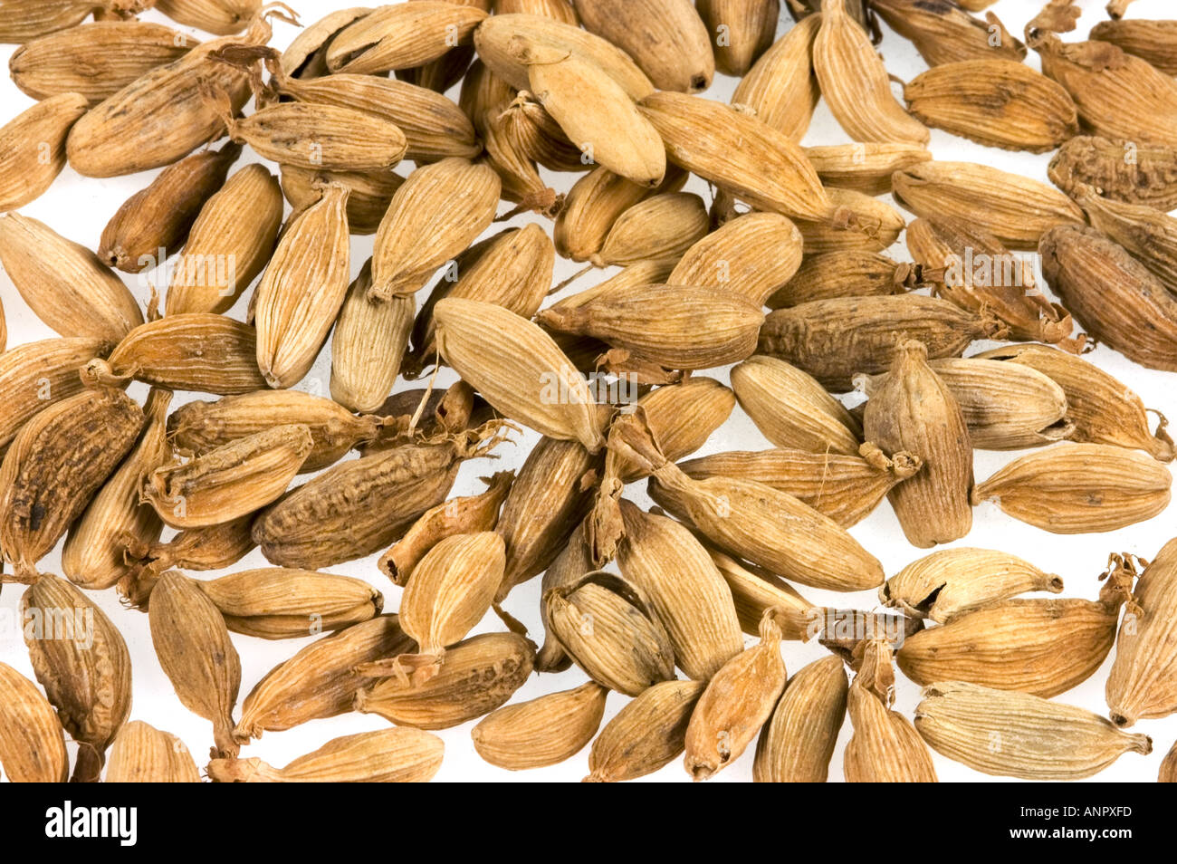 Nice malaysian food hi-res stock photography and images - Alamy