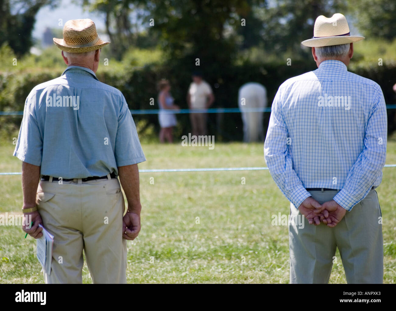 Men judging a horse show Stock Photo - Alamy