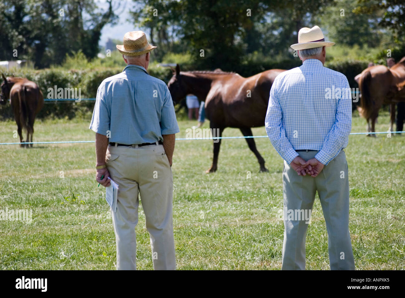 Men with a horse hi-res stock photography and images - Alamy