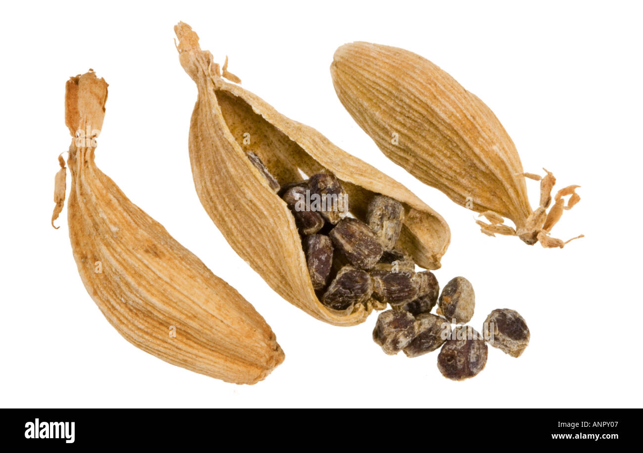 Beige muster hi-res stock photography and images - Alamy