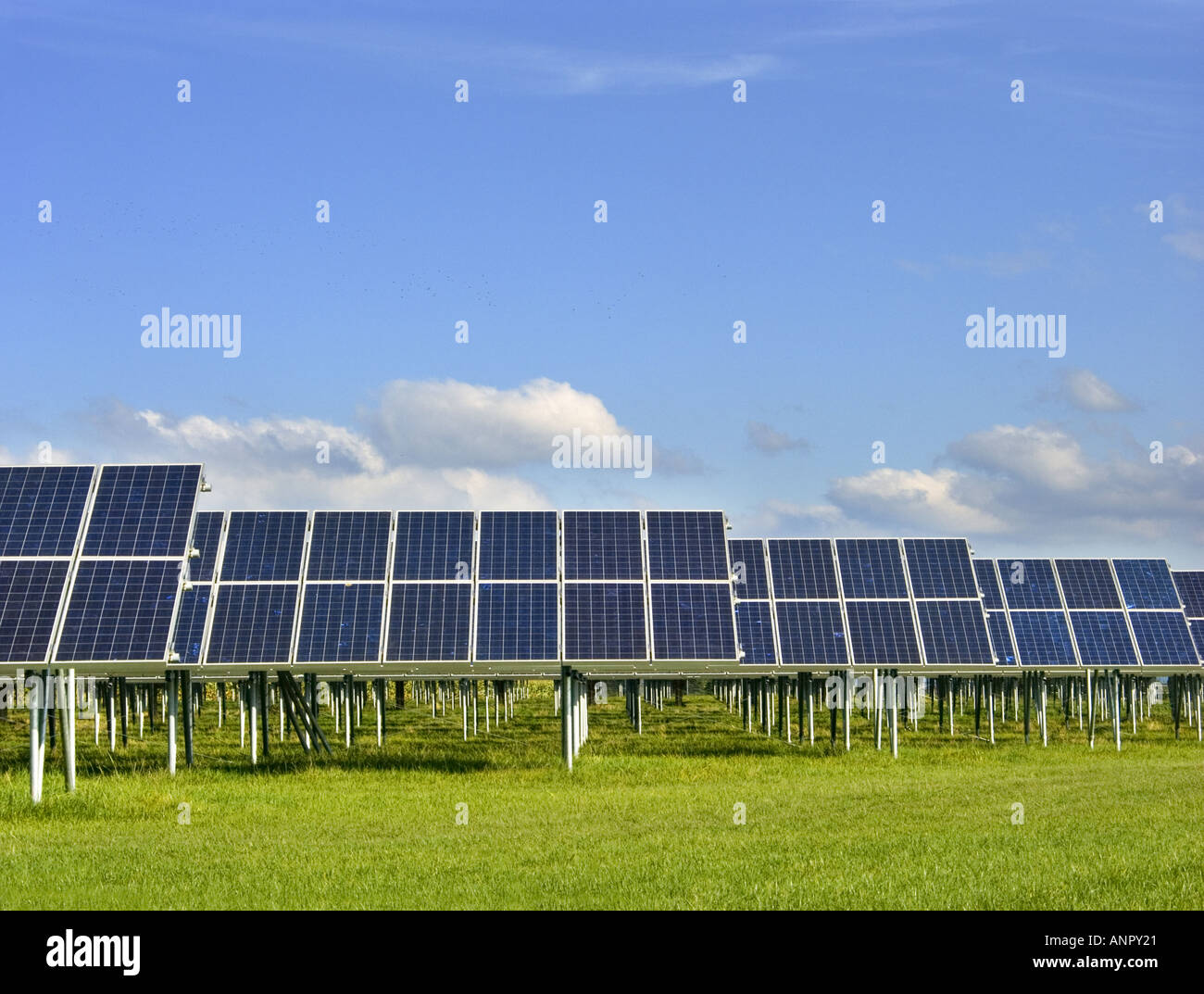 huge park of SOLAR electric panel power outdoor outside Stock Photo - Alamy