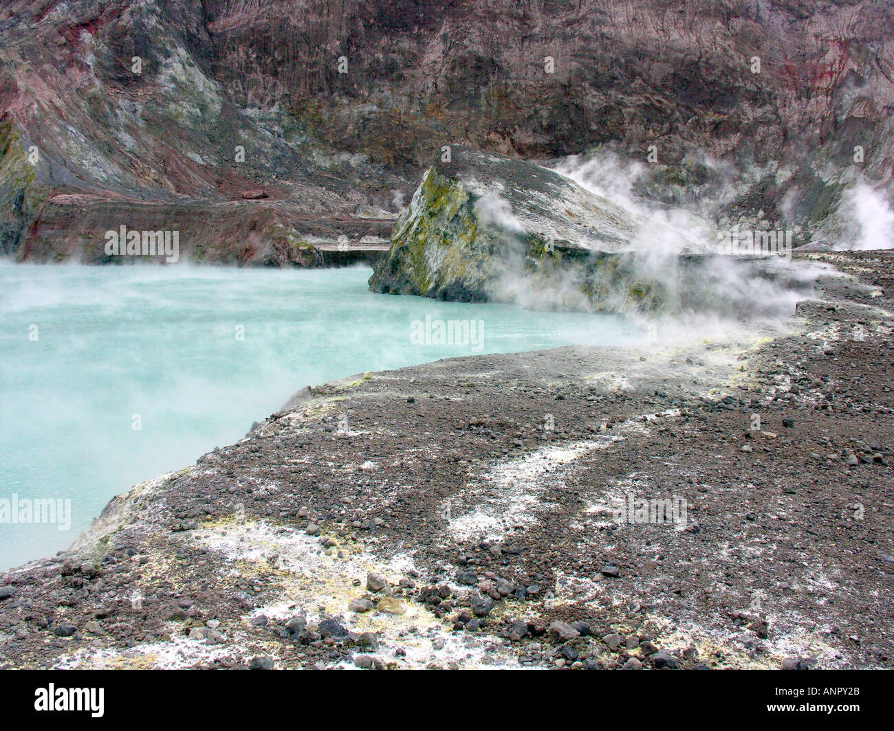 White Island Tour off the coast of Whakatane New Zealand NZ only active ...