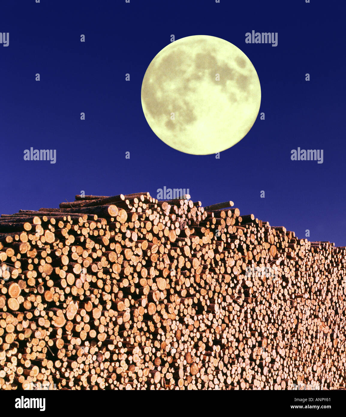 full moon wood cluster accumulation pile clamp bunch slew heap batch ...