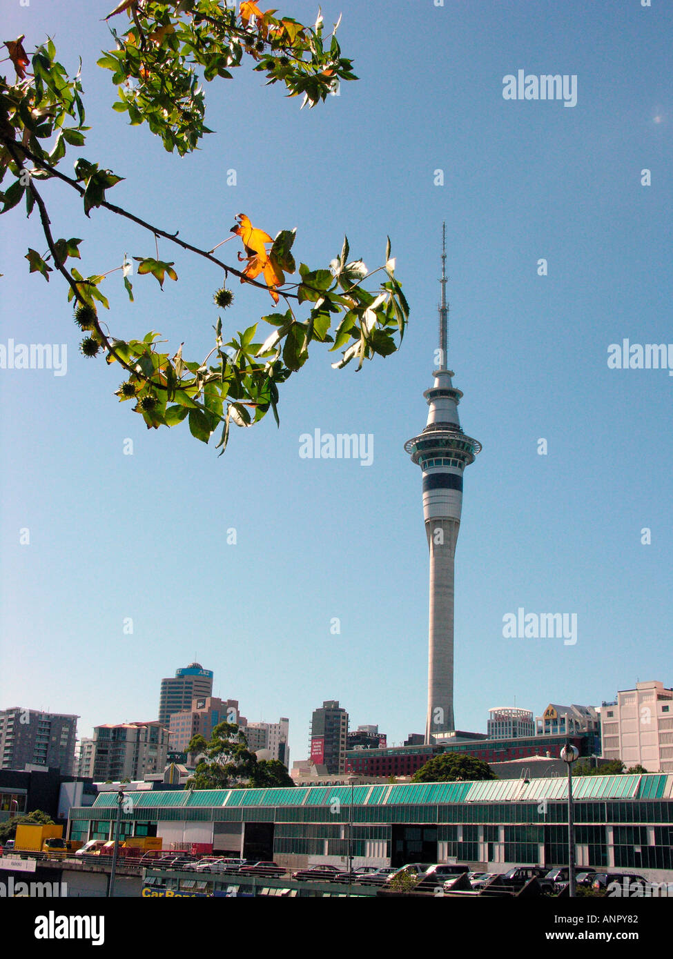 Auckland City New Zealand Stock Photo - Alamy