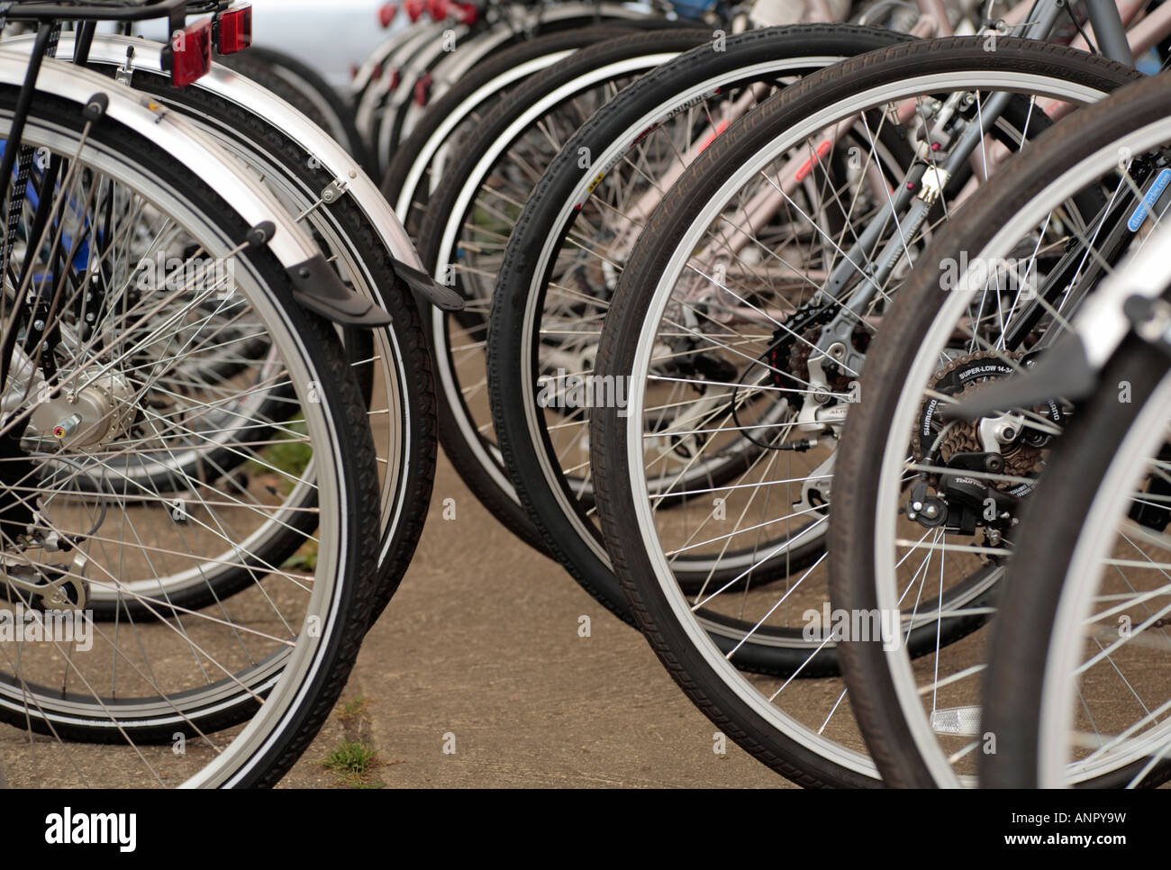 Low level view of bicycle wheels Stock Photo - Alamy