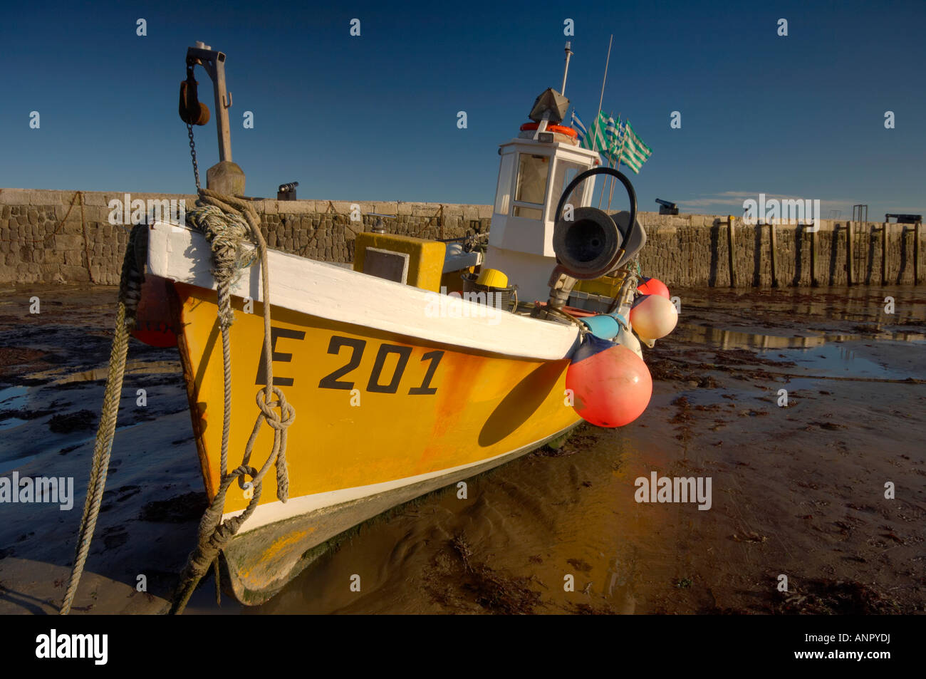 Bright yellow small traditional fishing trawler at low tide in Lyme ...