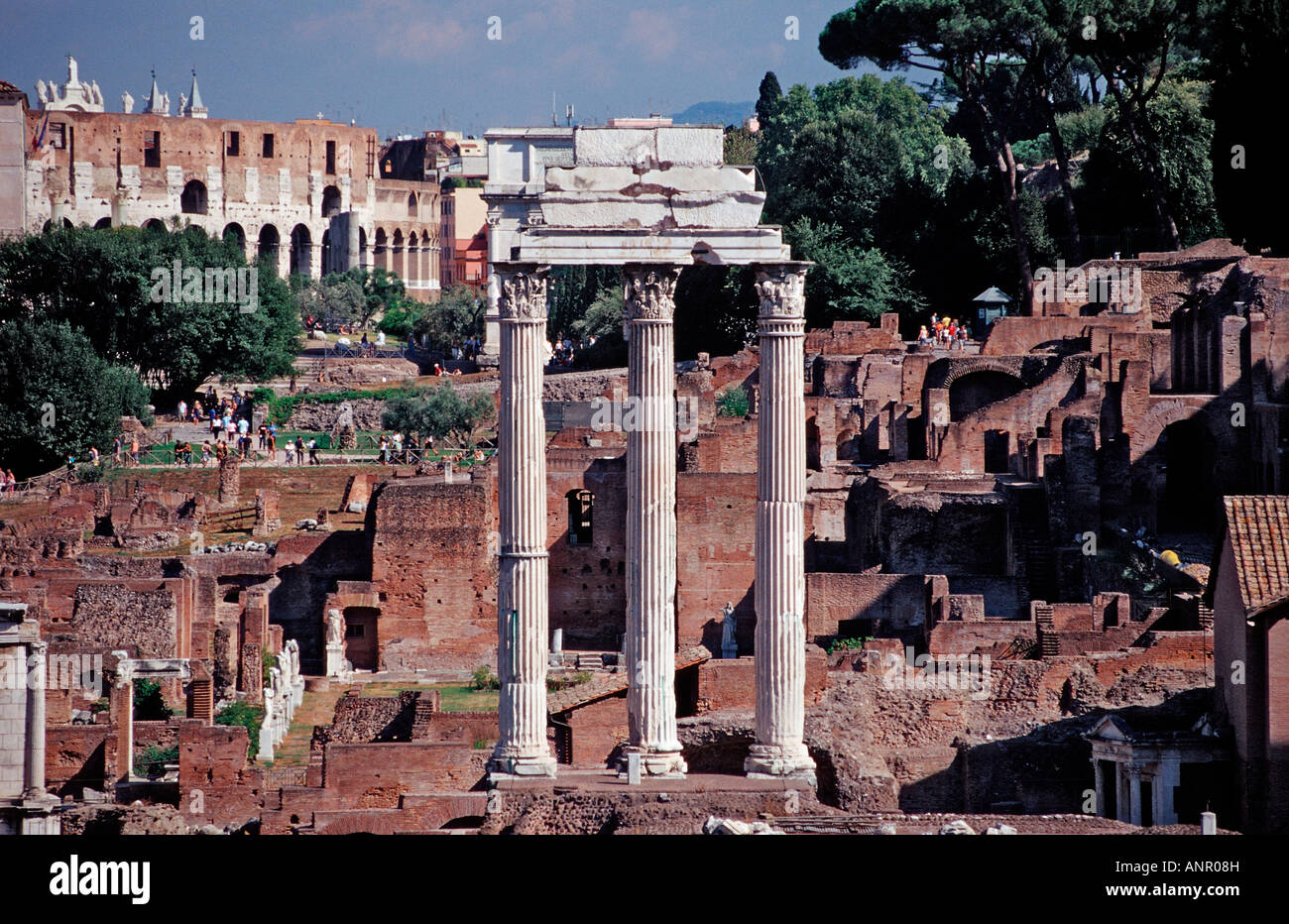 Forum Romanum Italy Rome Stock Photo - Alamy