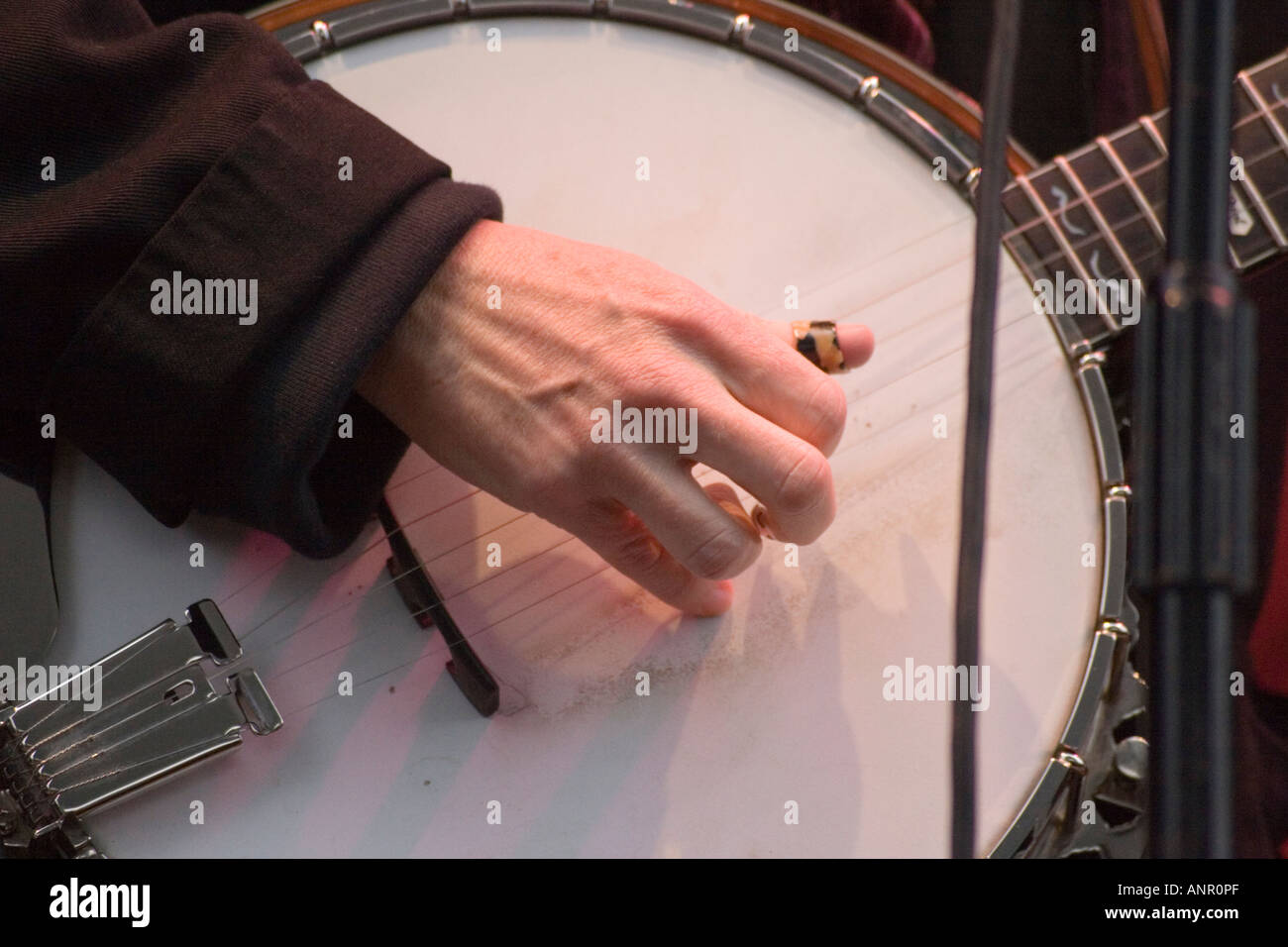 Musician music banjo strings playing plucking five string hi-res stock ...