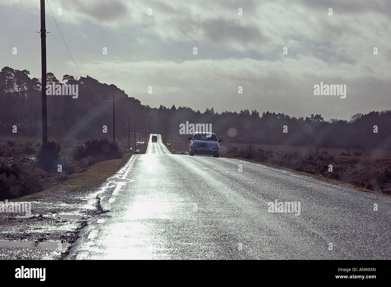 Driving on country road against the low winter sunshine Stock Photo - Alamy