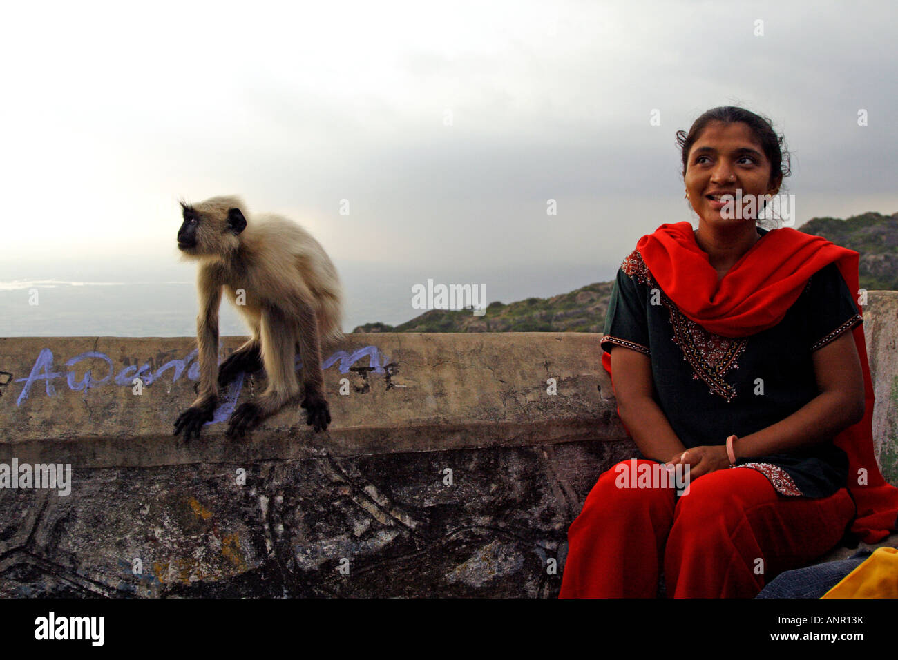 Indian woman with sari and Langur monkey Stock Photo - Alamy