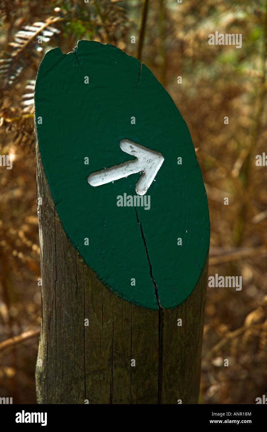 Forestry footpath Waymark sign Stock Photo - Alamy