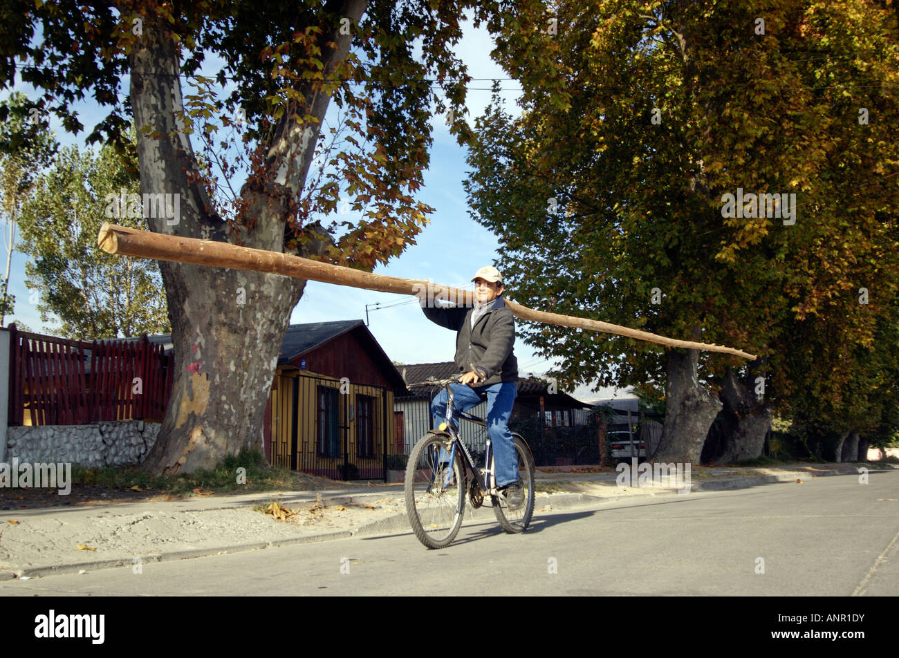 Man carrying long pole on bicycle Peralillo Colchagua Valley Chile ...