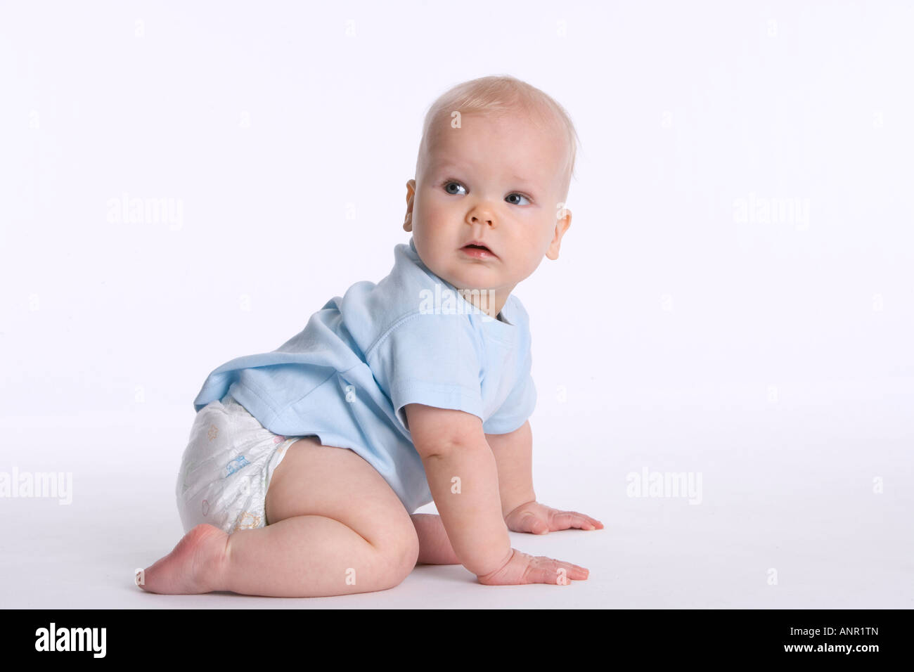 Portrait of a sitting baby Stock Photo - Alamy