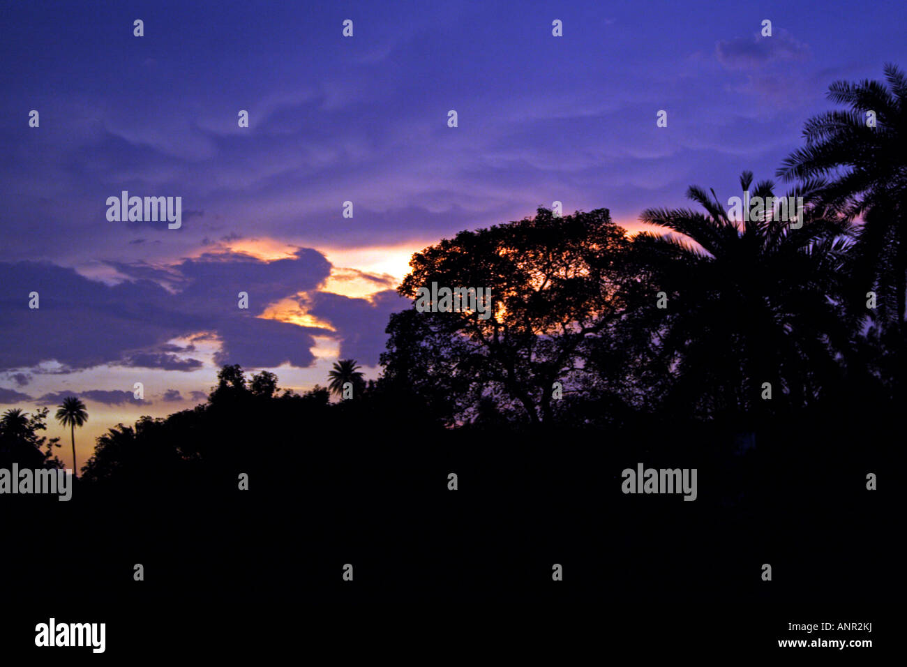 Tropical sunset in India Stock Photo - Alamy
