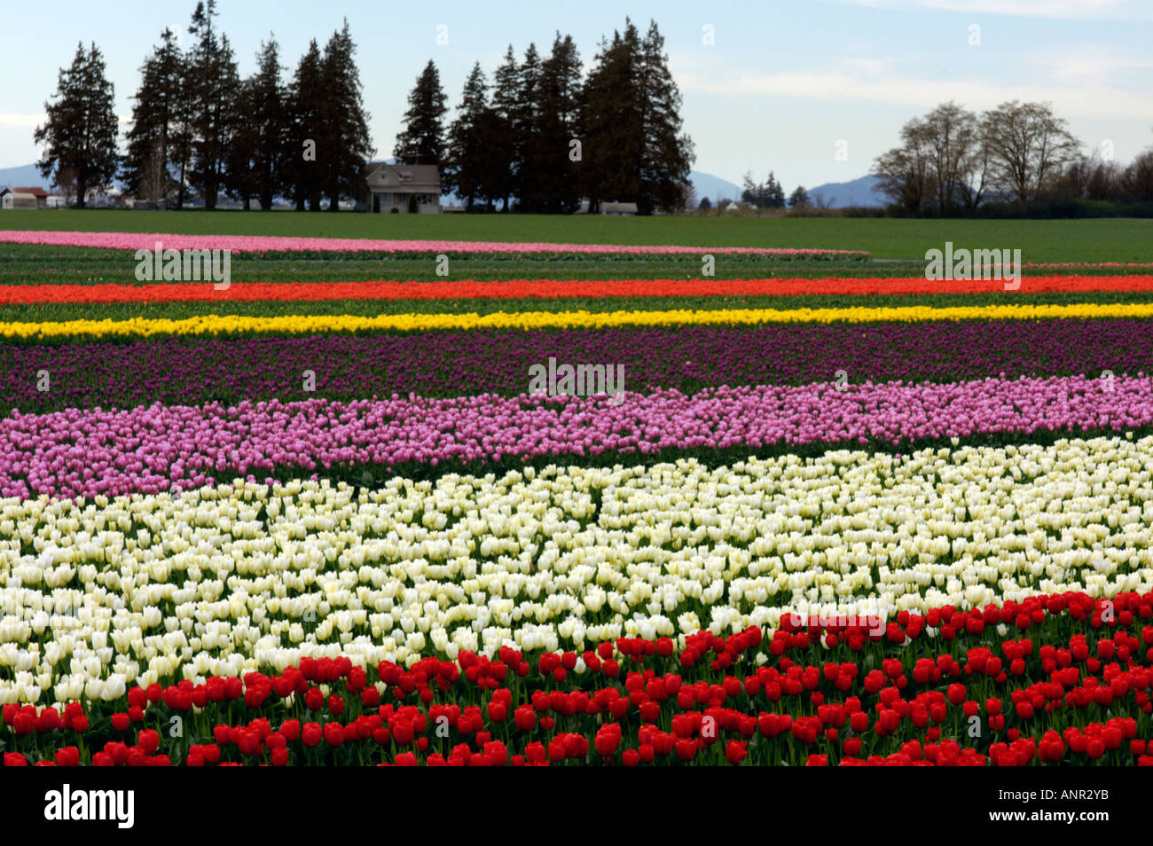 Chuckanut scenic highway hi-res stock photography and images - Alamy
