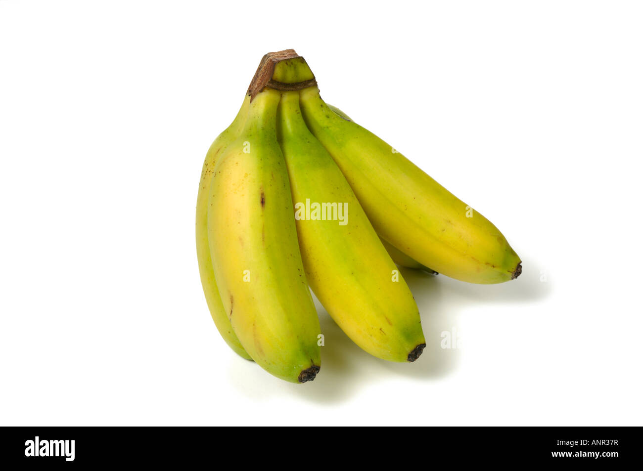 Bananito bananas bunch half dozen six Stock Photo - Alamy