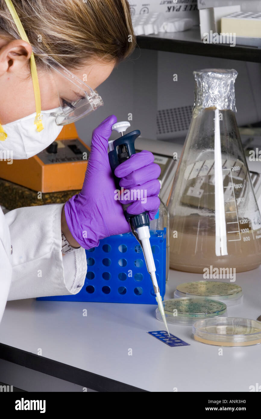 Multiwell Dish Stock Photos & Multiwell Dish Stock Images - Alamy