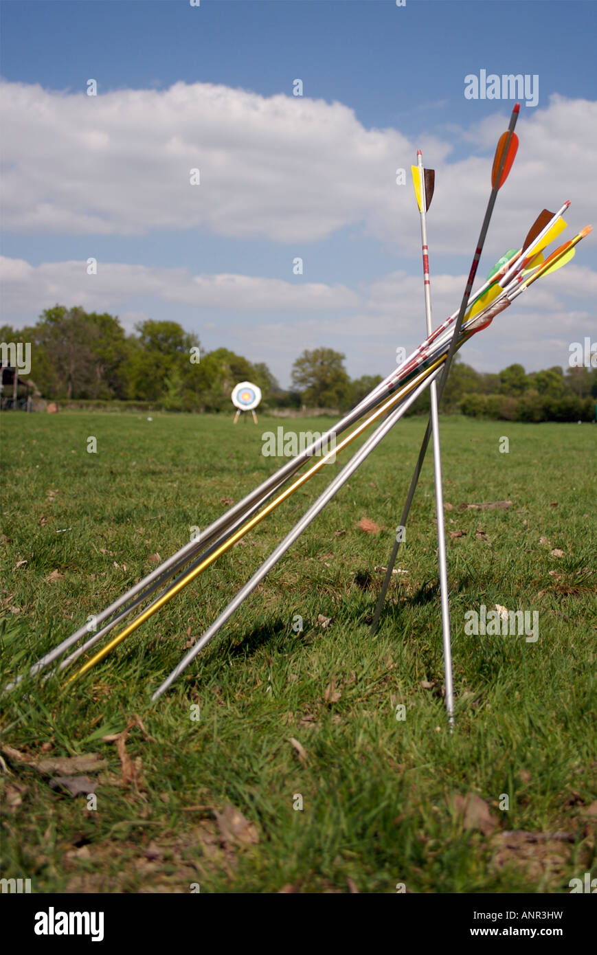 Field of Arrows Stock Photo - Alamy