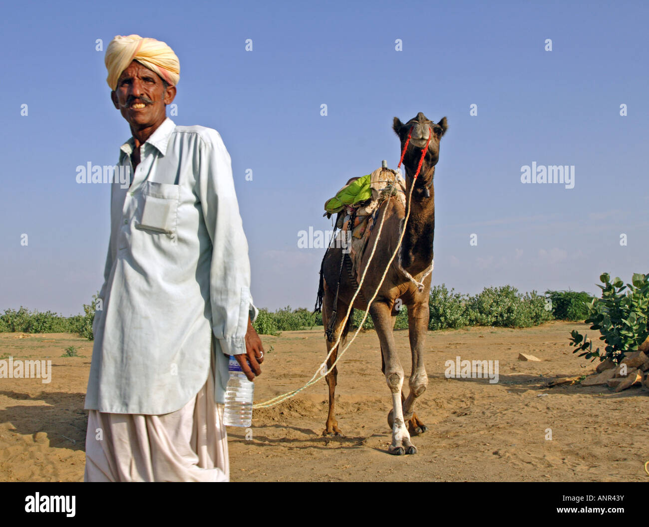 Indian camel-driver with his camel in the Thar-Desert in Rajasthan ...