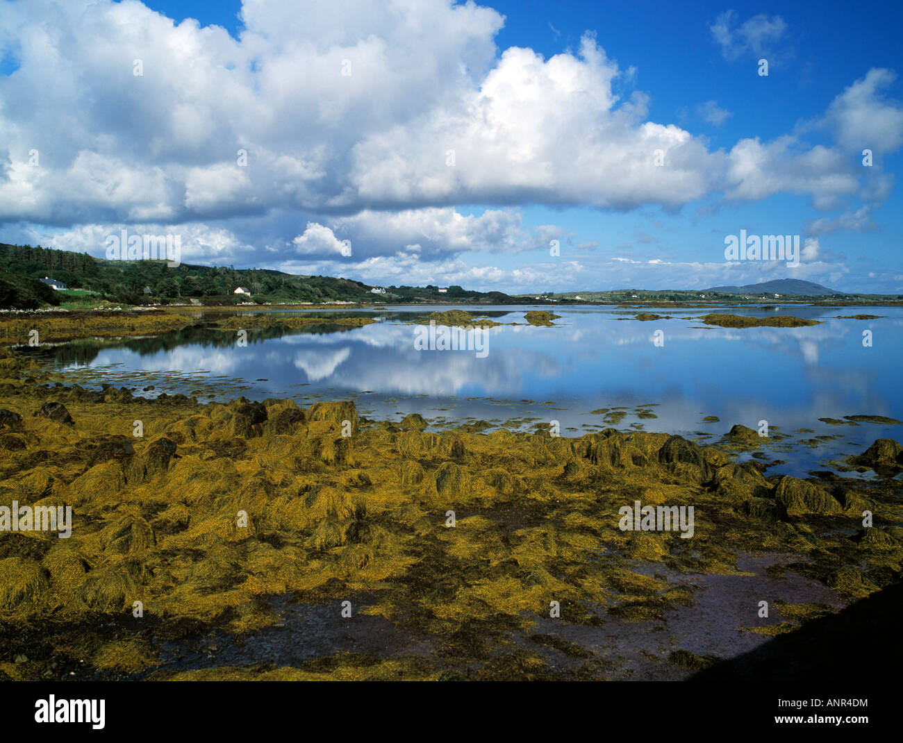 tidal sea inlet in irelands county cork coast, beauty in nature, wild ...