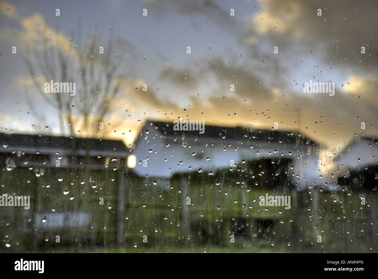 rainy day in winter Stock Photo - Alamy