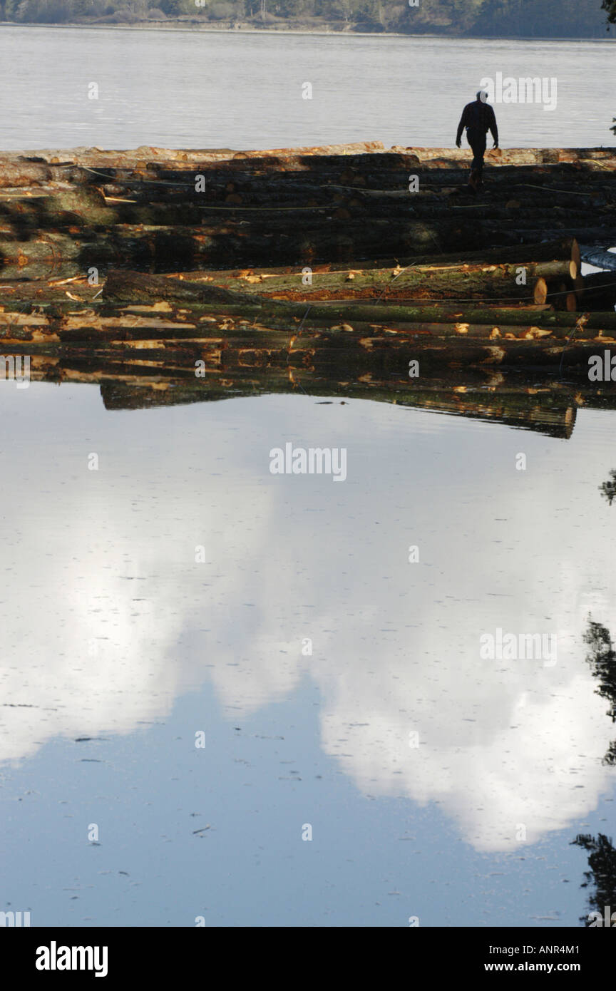 Wood logs floating on water hi-res stock photography and images - Alamy