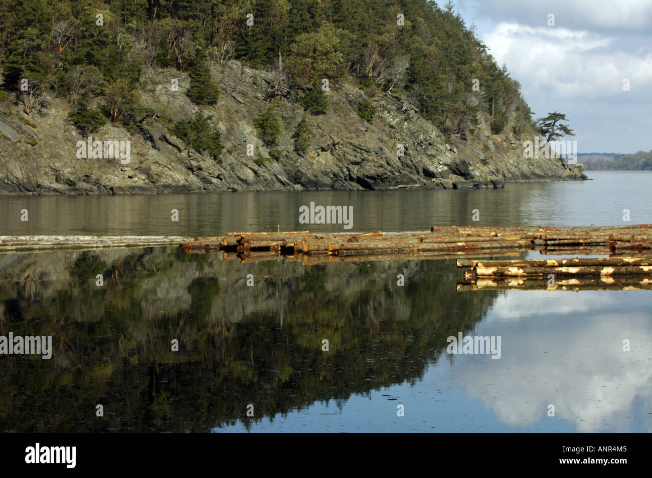 Washington San Juan Islands Logs floating in the sea near Lummi Island ...