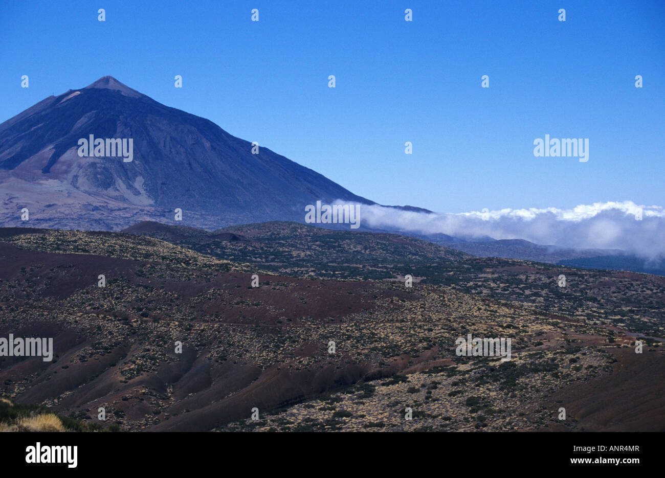 Teide volcano TENERIFE ISLAND Canary Islands SPAIN Stock Photo - Alamy