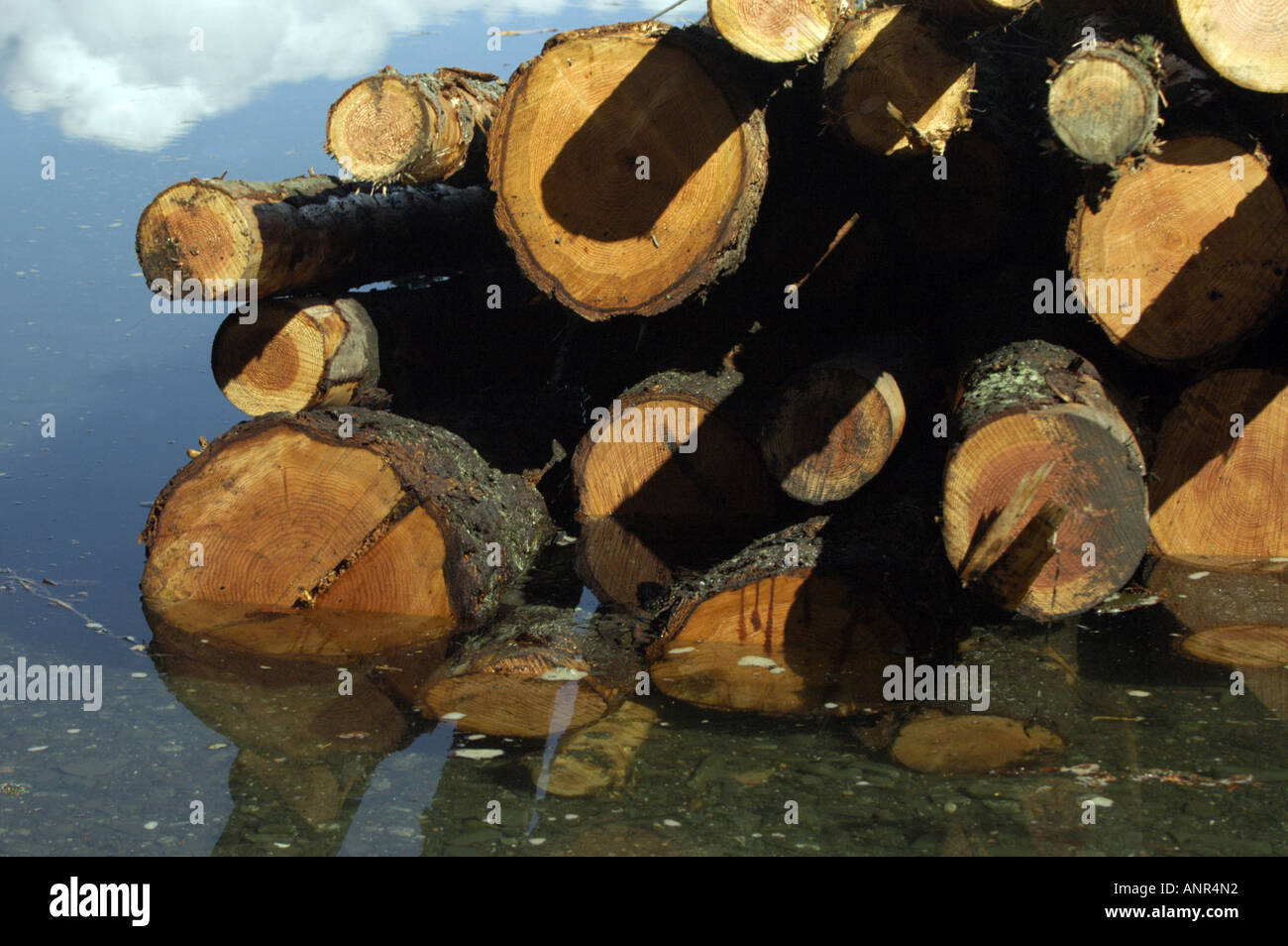 Washington San Juan Islands A stack of timber in the sea near Lummi ...