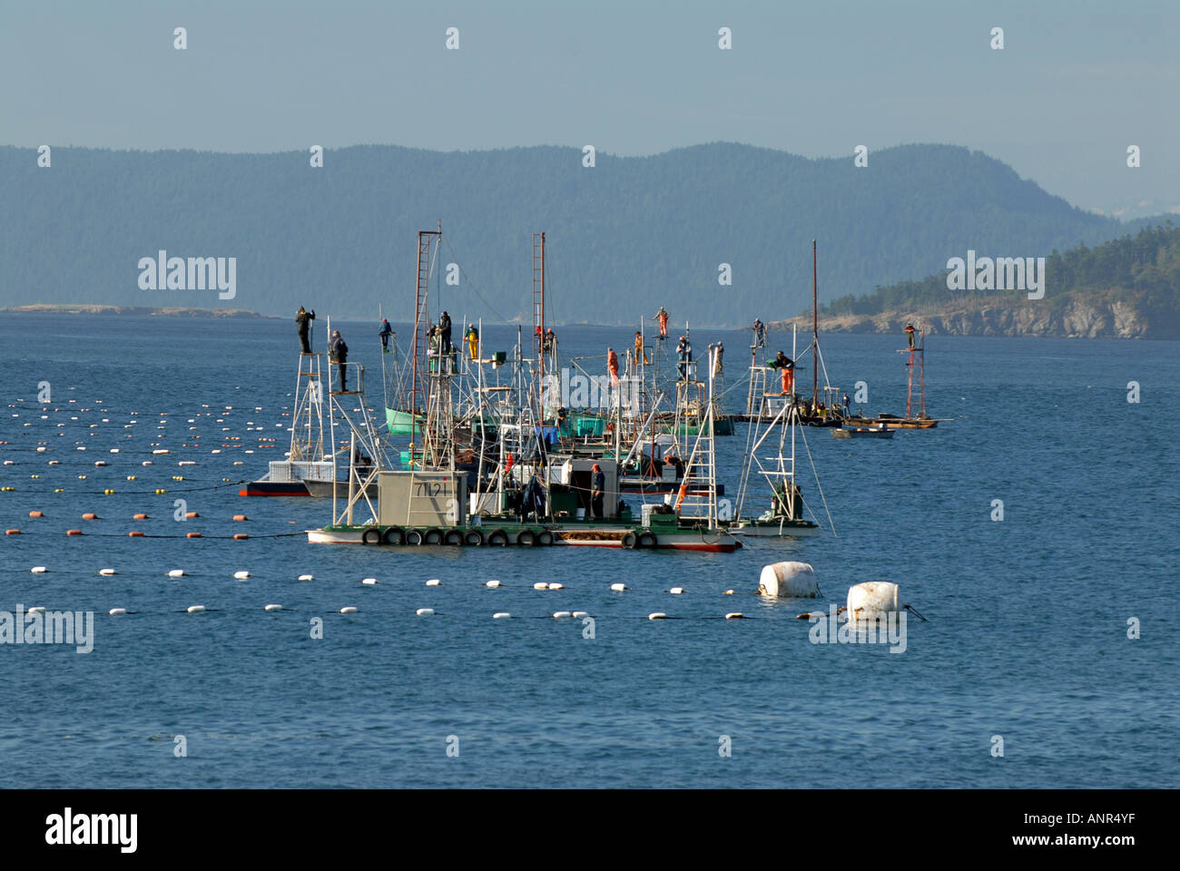 Reef net fishing lummi island hi-res stock photography and images - Alamy