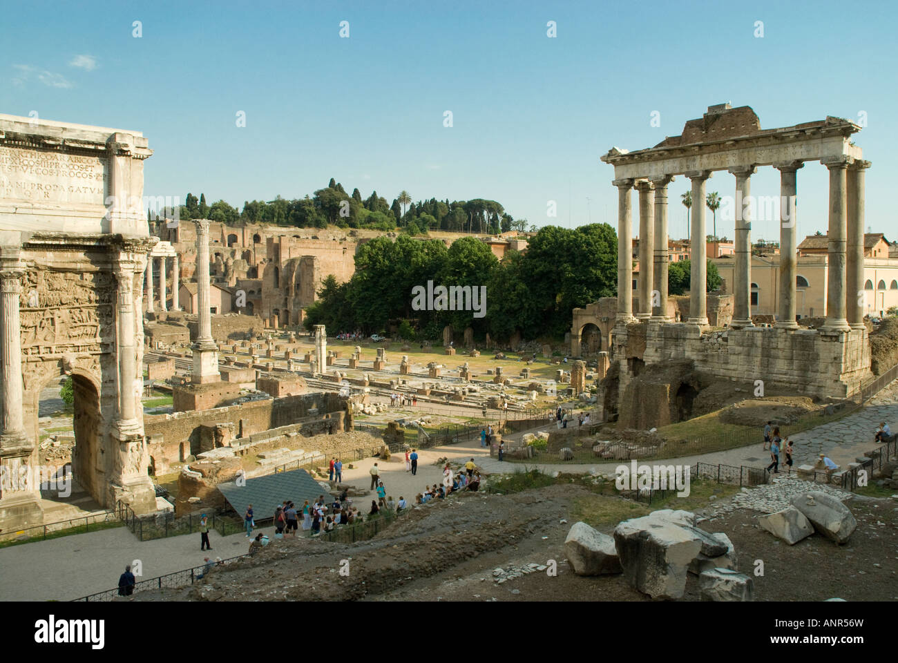 The Arch of Septimus Severus, Column of Phocas and Basilica Julia ...