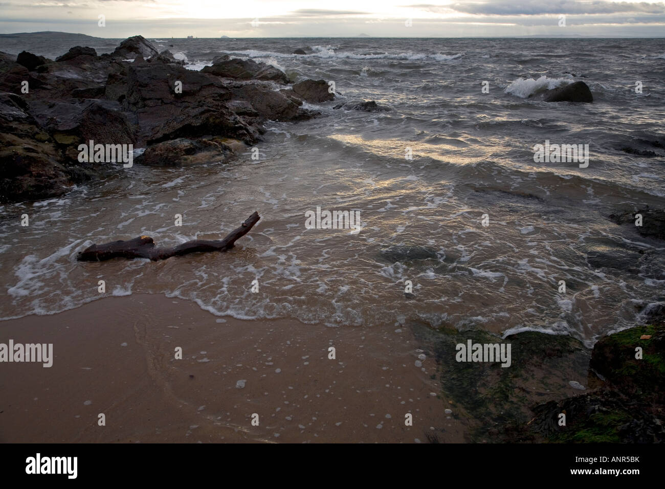 Breaking log hi-res stock photography and images - Alamy
