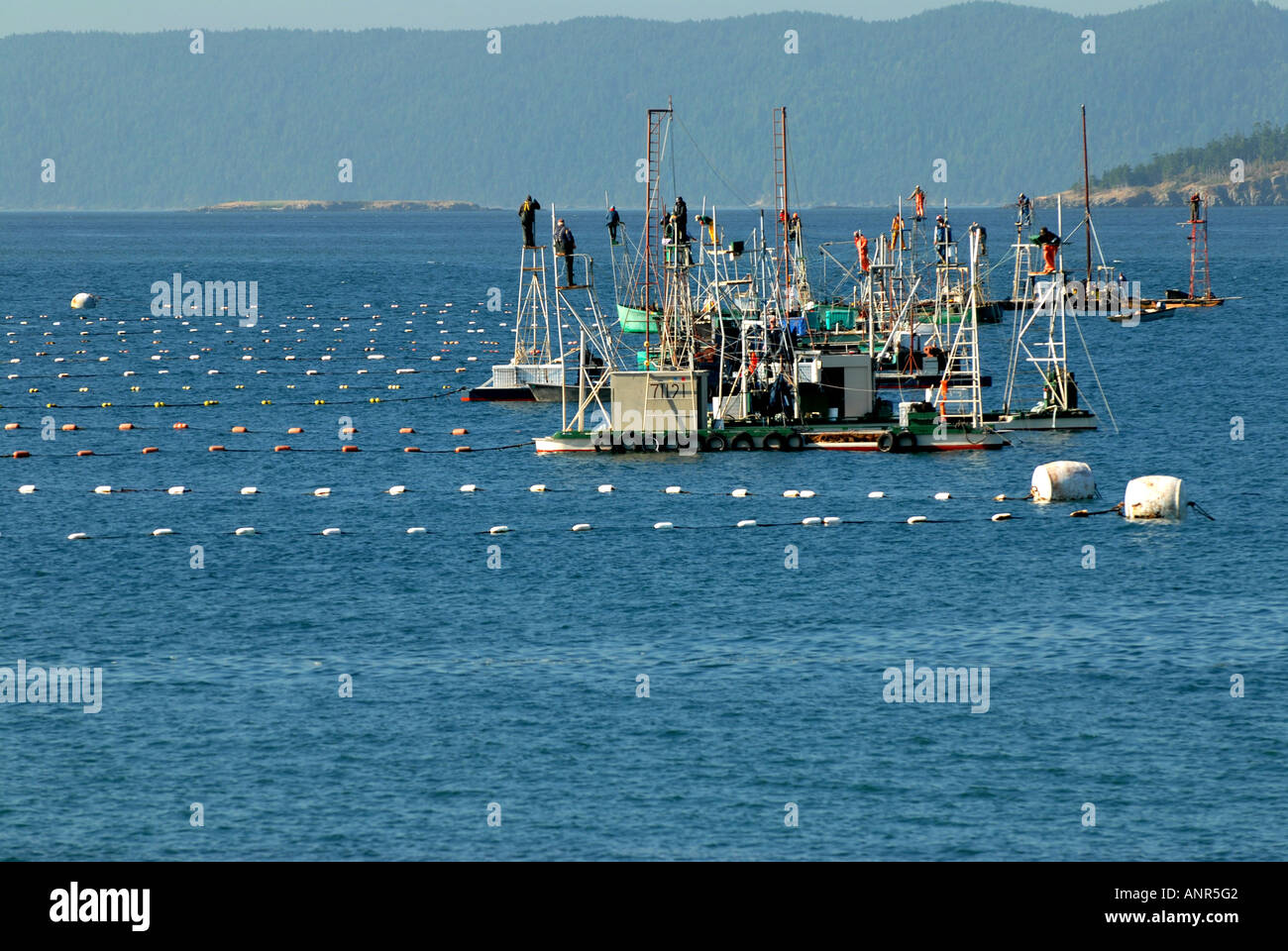 Reef net fishing lummi island hi-res stock photography and images - Alamy