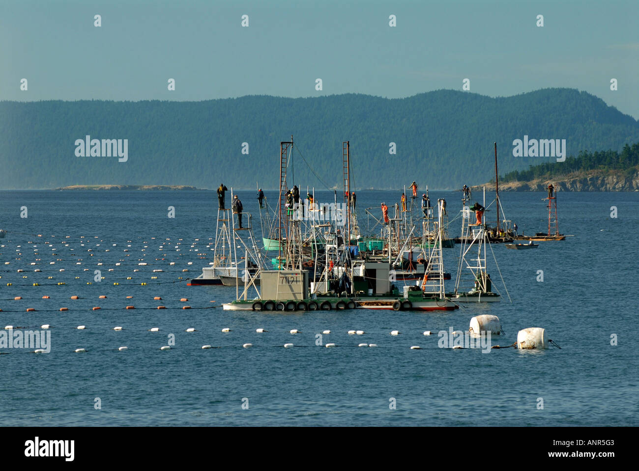 Reef net fishing lummi island hi-res stock photography and images - Alamy