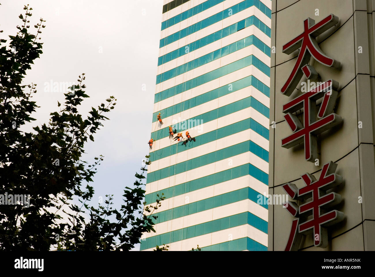 Rope suspended window washers on skyscraper, Shanghai, China Stock ...